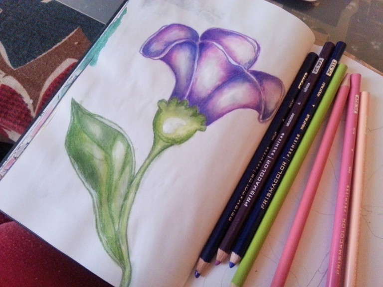 Violet flower in colored pencils – Mixed Media & Art Journaling with Love